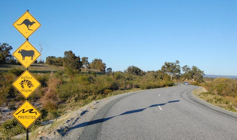 Strange road signs in different countries