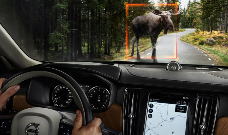 All about the moose test