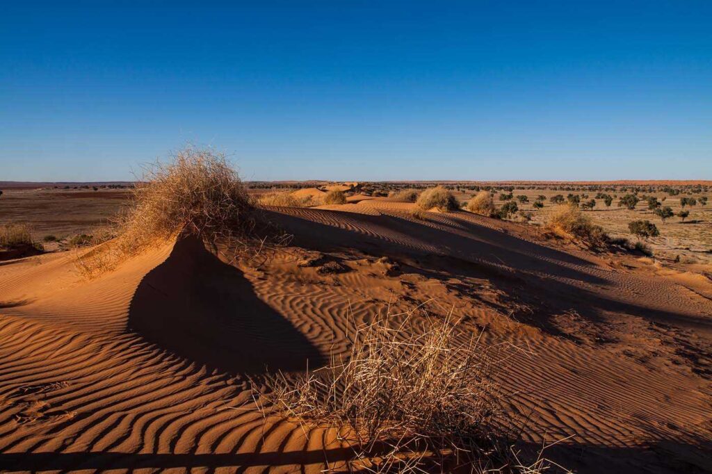 10 fatos interessantes sobre a Austrália