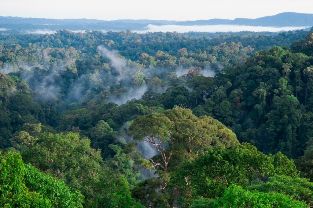 10 Interesting Facts About Brunei