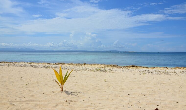 10 Interesting Facts About Fiji