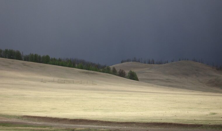 10 Interesting Facts About Mongolia