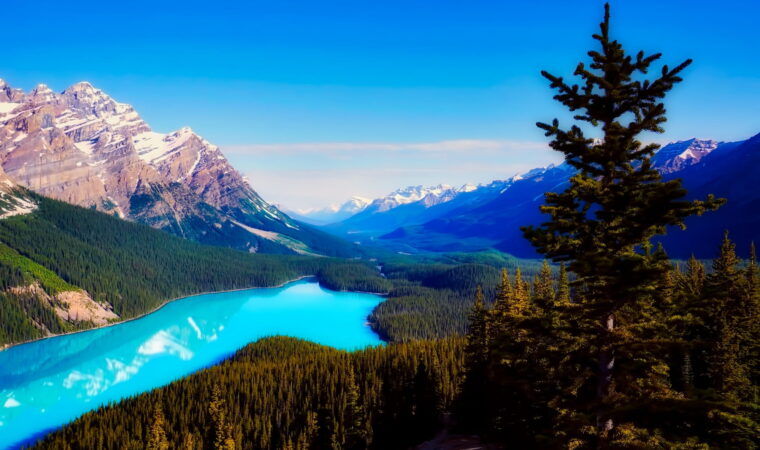 10 faits intéressants sur le Canada