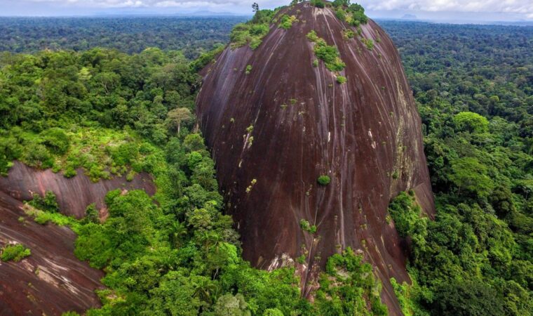 10 Interesting Facts About Suriname